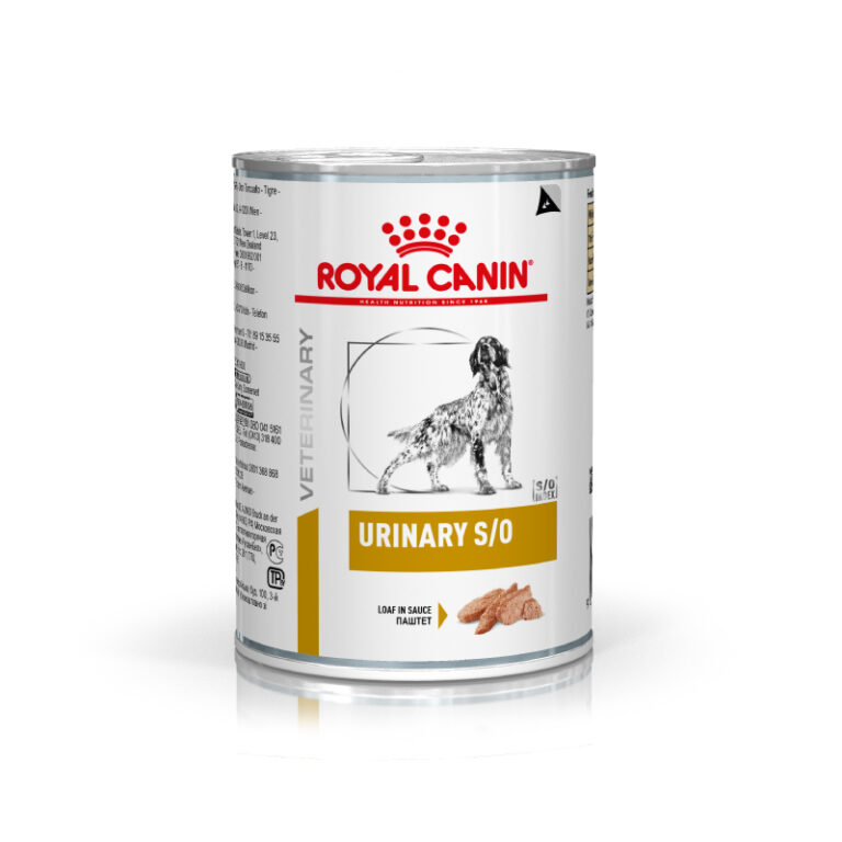 Royal Canin Urinary SO Wet Dog Food 410 gr - Veterinarska Ambulanta Montvet