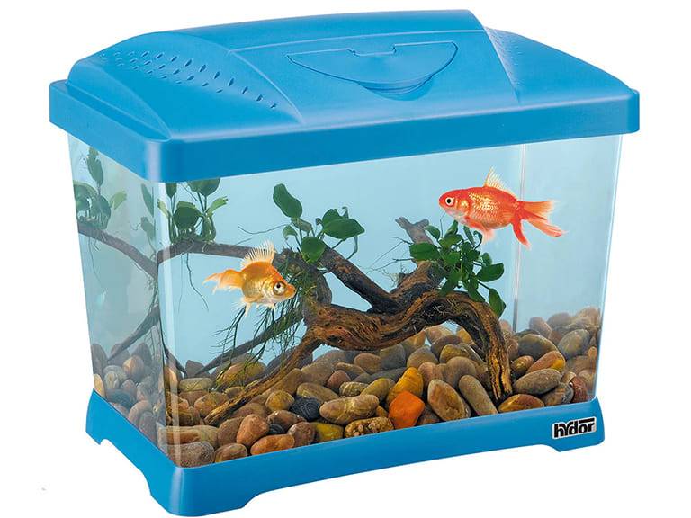 Akvarijum Za Ribice Capri Basic - Veterinarska Ambulanta Montvet